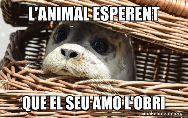 L'animal esperent que el seu amo l'obri - Impending Doom Seal Meme ...