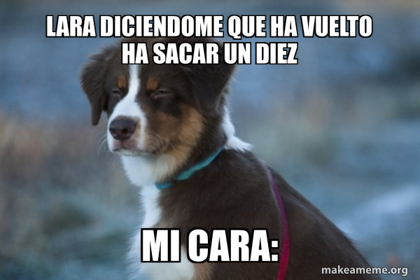 Lara diciendome que ha vuelto ha sacar un diez mi cara: - Unsure Dog ...