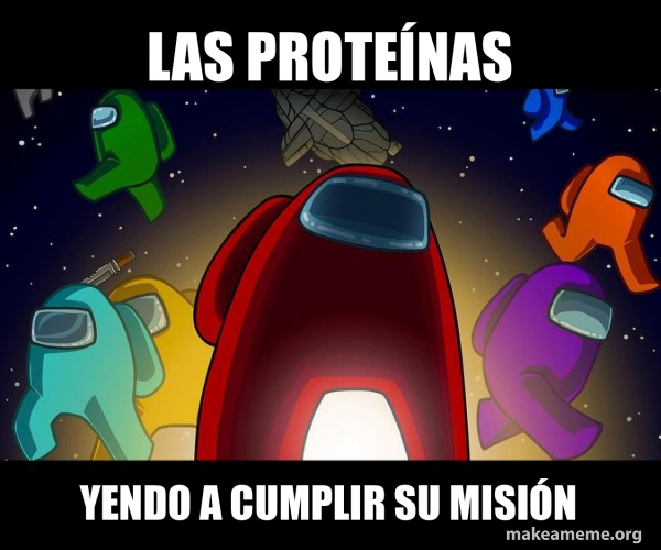 Memes Proteinas Pin De Tovarishch Svin'ya 🔻☭ Em Gym | Academia