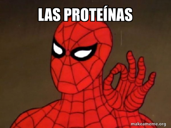 Memes Proteinas Pin De Tovarishch Svin'ya 🔻☭ Em Gym | Academia