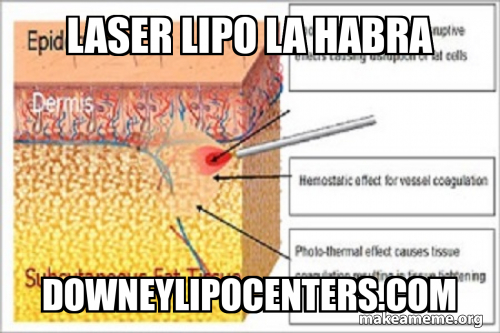 Laser Lipo La Habra downeylipocenters.com Meme Generator