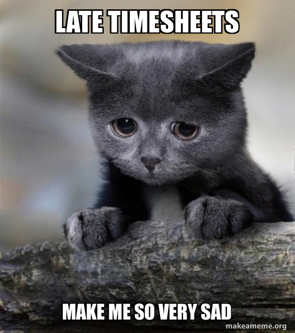 Late timesheets make me so very sad - Confession Cat | Make a Meme