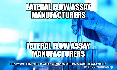 lateral flow assay manufacturers lateral flow assay manufacturers https ...