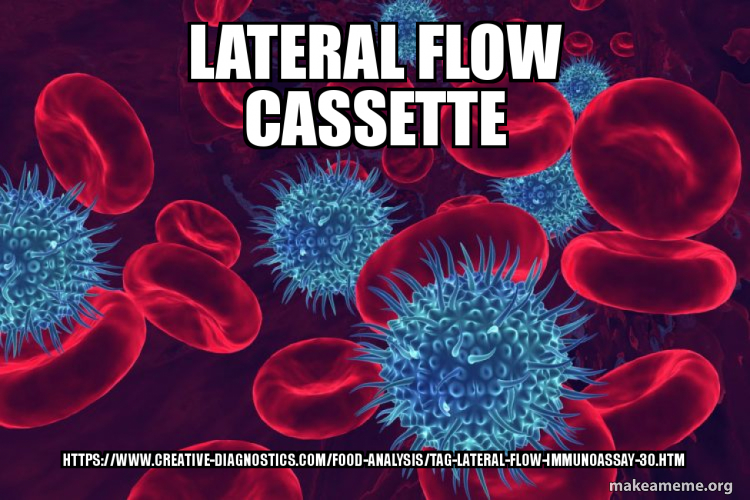 lateral flow cassette https://www.creative-diagnostics.com/food ...