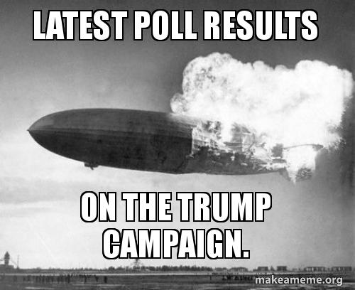 Latest poll results on the Trump campaign. Meme Generator