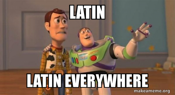 Latin Latin Everywhere - Buzz and Woody (Toy Story) Meme Meme Generator