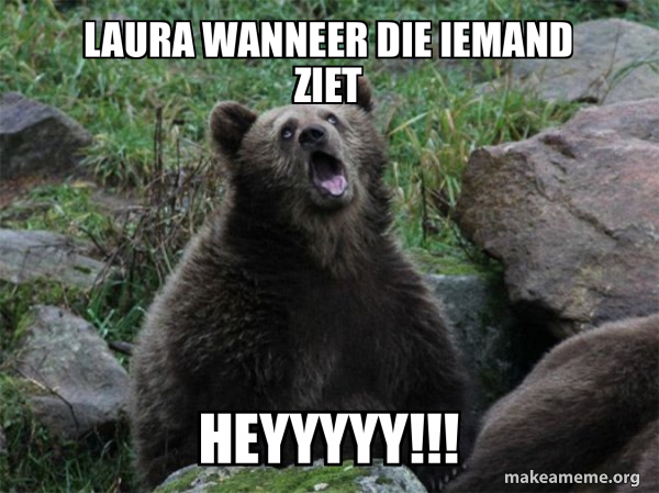 Laura wanneer die iemand ziet Heyyyyy!!! - Sarcastic Bear Meme Generator