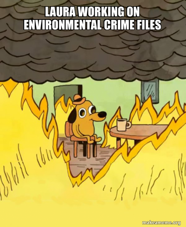Laura working on environmental crime files - This Is Fine Meme Generator