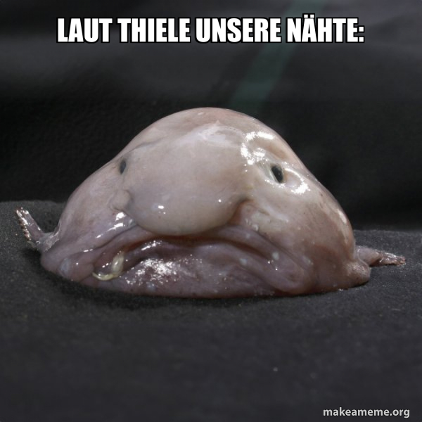 Laut Thiele unsere Nähte: - Blobfish Meme Generator
