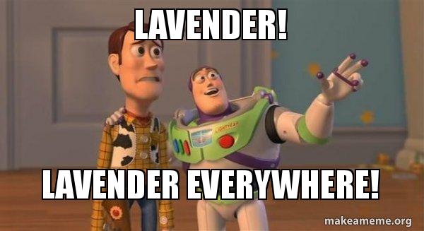 Lavender! Lavender everywhere! - Buzz and Woody (Toy Story) Meme Meme ...