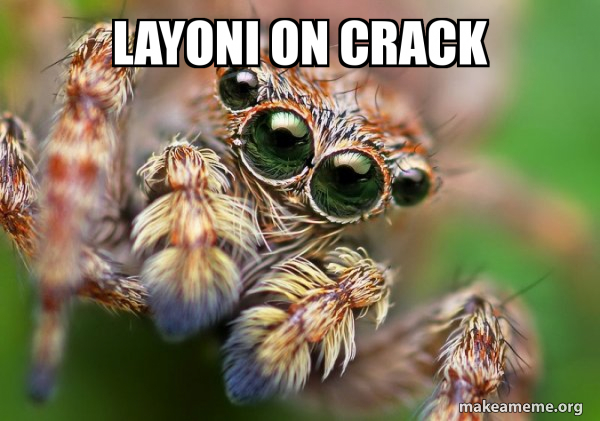 layoni on crack - Hipster Spider Meme Generator