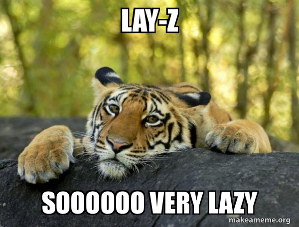 lay-z soooooo very lazy - Confession Tiger Meme Generator