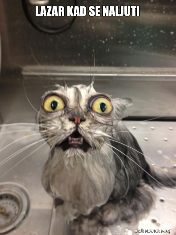 lazar kad se naljuti - Cat bath Meme Generator