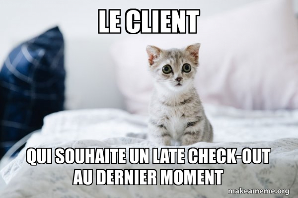 LE CLIENT QUI SOUHAITE UN LATE CHECK-OUT AU DERNIER MOMENT - Cute ...
