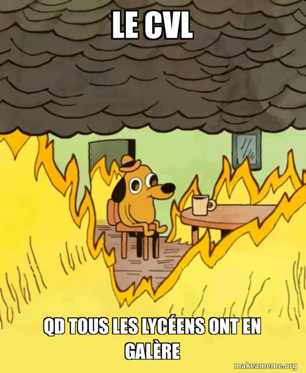 Le CVL qd tous les lycéens ont en galère - This Is Fine Meme Generator