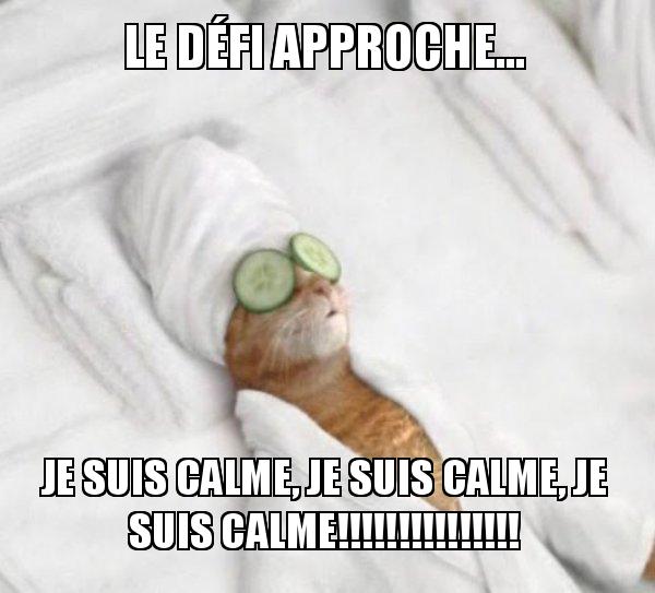 Le dÃ©fi approche... Je suis calme, je suis calme, JE SUIS CALME ...