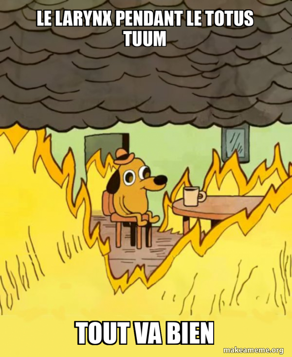 Le larynx pendant le Totus Tuum Tout va bien - This Is Fine Meme Generator
