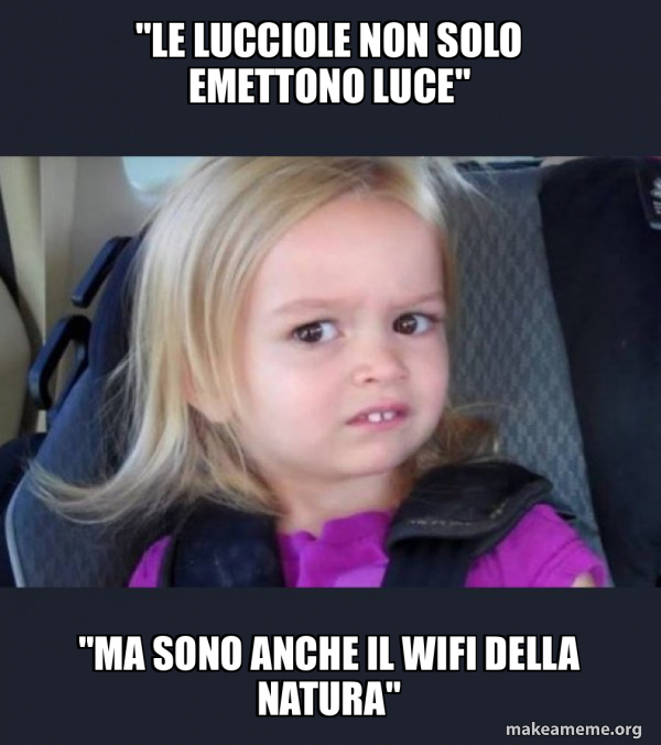 "Le lucciole non solo emettono luce" "Ma sono anche il WiFi della ...