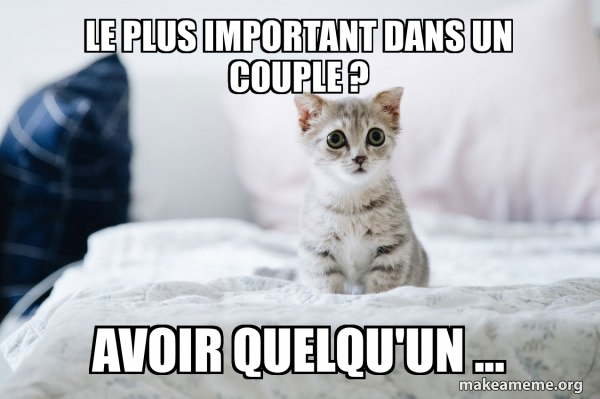 Le plus important dans un couple ? Avoir quelqu'un ... - Cute Kitten ...