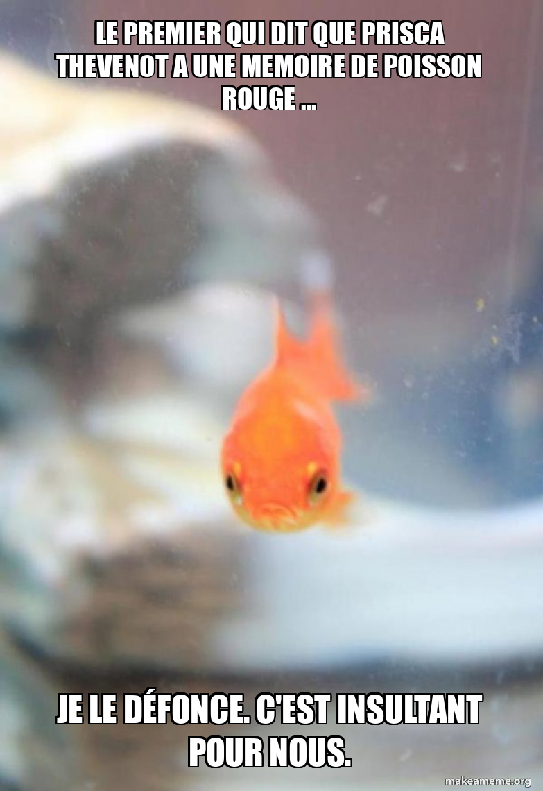 le premier qui dit que prisca thevenot a une memoire de poisson rouge ...