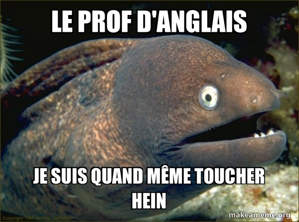 Le prof d'anglais Je suis quand même toucher hein - Bad Joke Eel Meme ...
