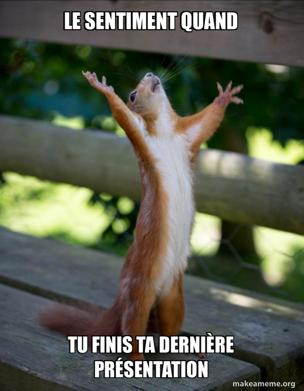 Le sentiment quand TU FINIS TA DERNIÈRE PRÉSENTATION - Happy Squirrel ...