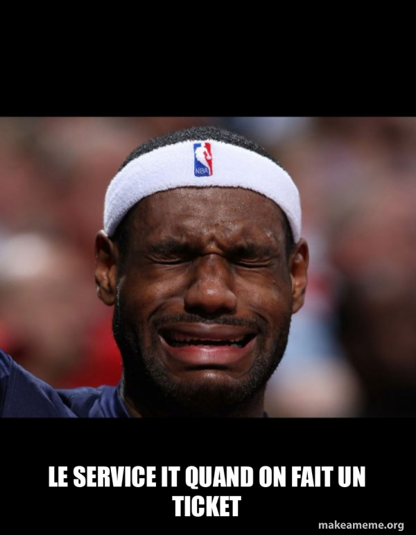 le service IT quand on fait un ticket - Lebron Crying Meme Generator