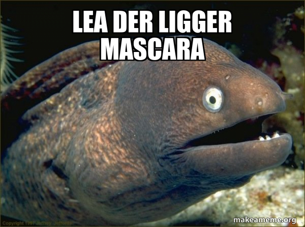 lea der ligger mascara - Bad Joke Eel Meme Generator