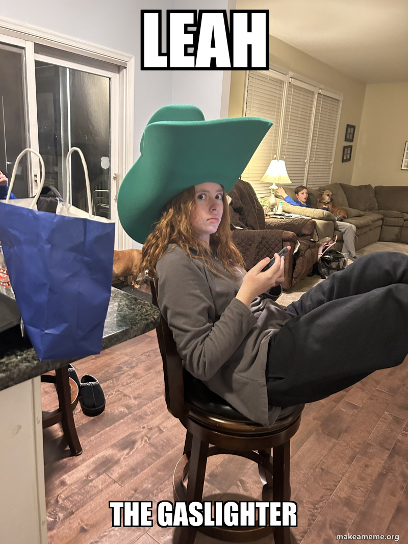 Leah The gaslighter Meme Generator