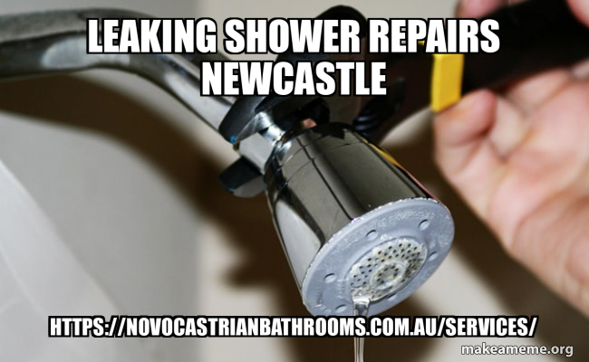 Leaking Shower Repairs Newcastle https://novocastrianbathrooms.com.au ...