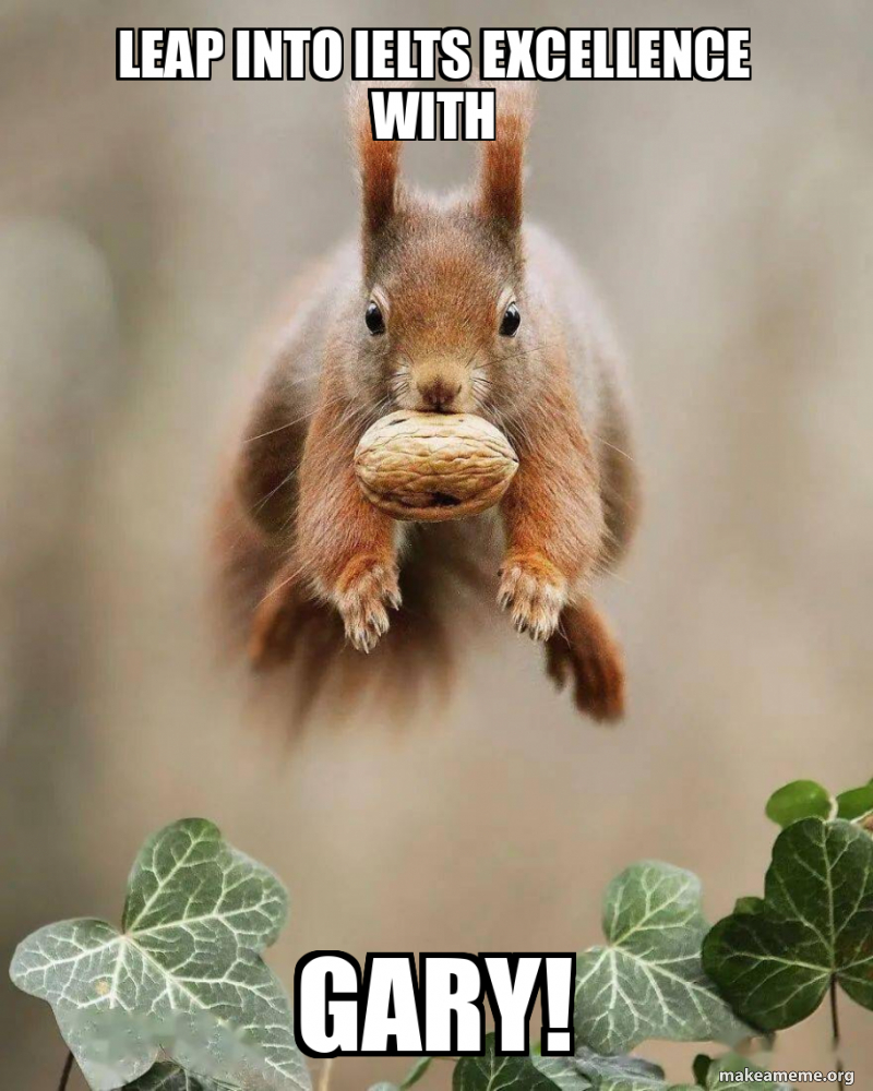 Leap into IELTS excellence with Gary! Meme Generator