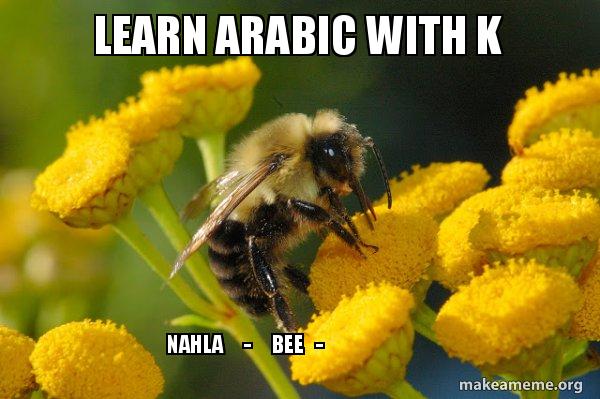 Learn Arabic with K Nahla - Bee - Ù†Ø­Ù„Ø© - Good Guy Bee Meme Generator