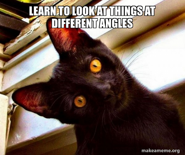 learn to look at things at different angles - Overly Attached Cat ...