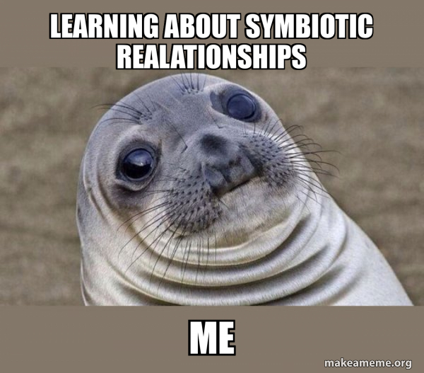 Learning about symbiotic realationships Me - Squeamish Seal Meme Generator