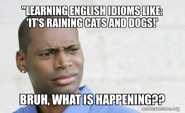 "Learning English idioms like: 'It's raining cats and dogs!' Bruh, what ...