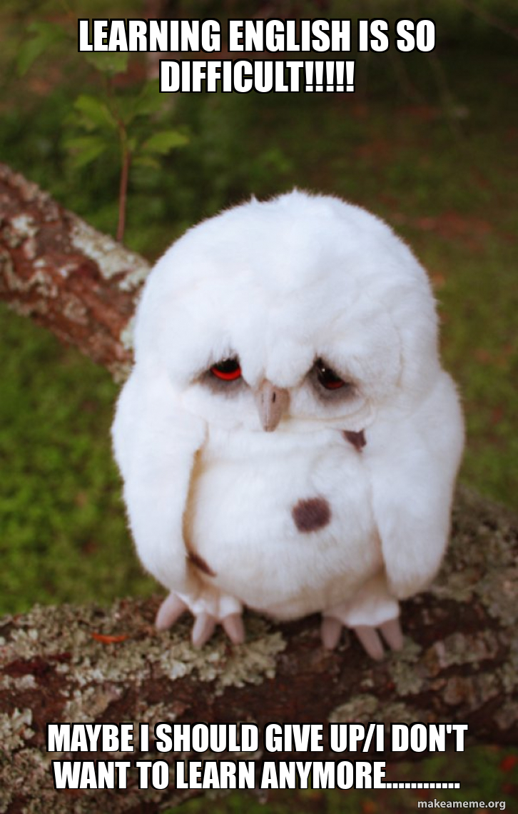 Learning English is SO DIFFICULT!!!!! Maybe I should give up/I don't ...