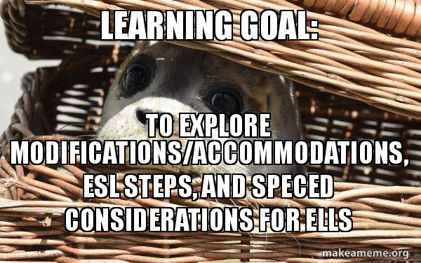 Learning Goal: To explore modifications/accommodations, ESL Steps, and ...