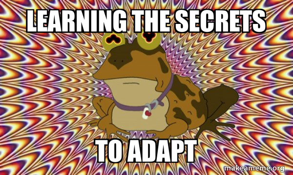 learning the secrets to adapt - Hypnotoad Meme Generator