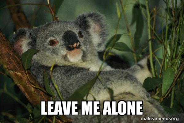 LEAVE ME ALONE - Laid Back Koala Meme Generator