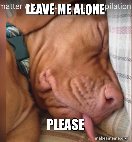 LEAVE ME ALONE PLEASE Meme Generator
