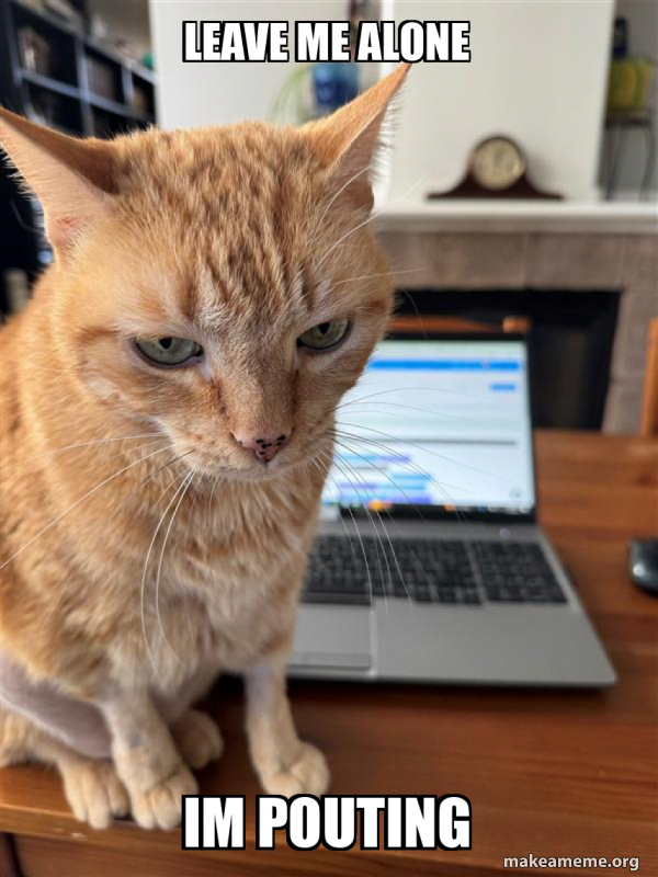 Leave me alone Im pouting Meme Generator