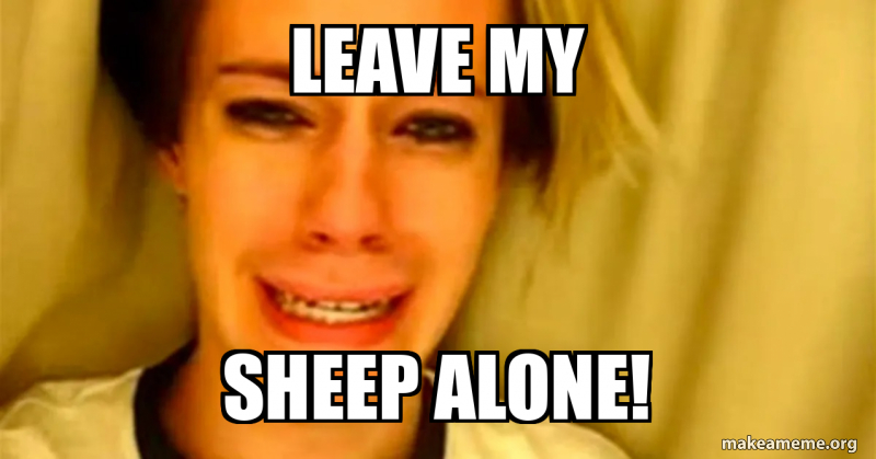 leave my sheep alone! Meme Generator