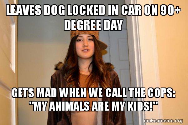 Leaves dog locked in car on 90+ degree day Gets mad when we call the ...