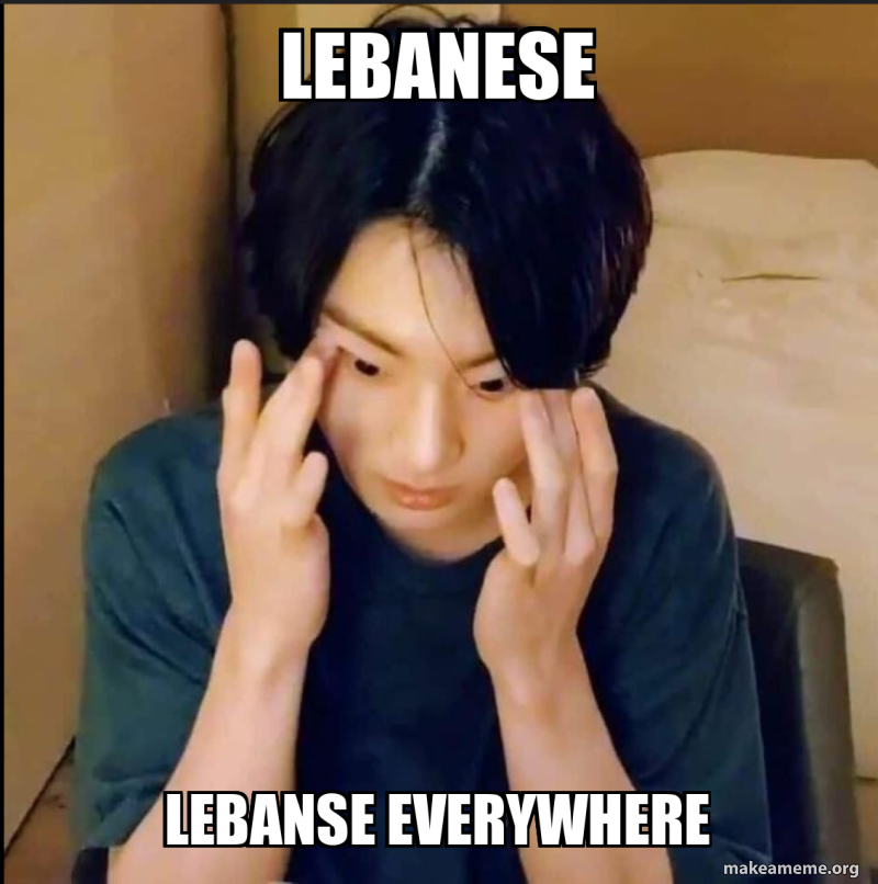 LebanesE LEBANSE EVERYWHERE - lesbians everywhere Meme Generator