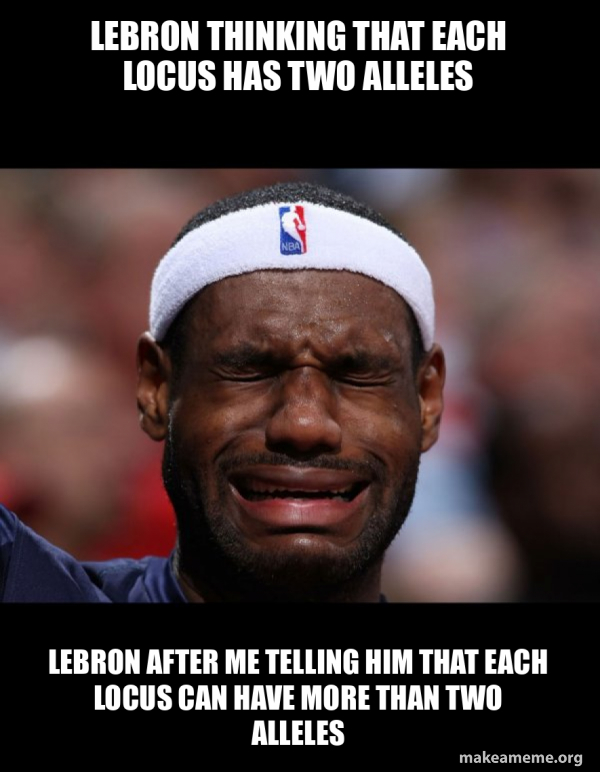LeBron thinking that each locus has two alleles LeBron after me telling ...