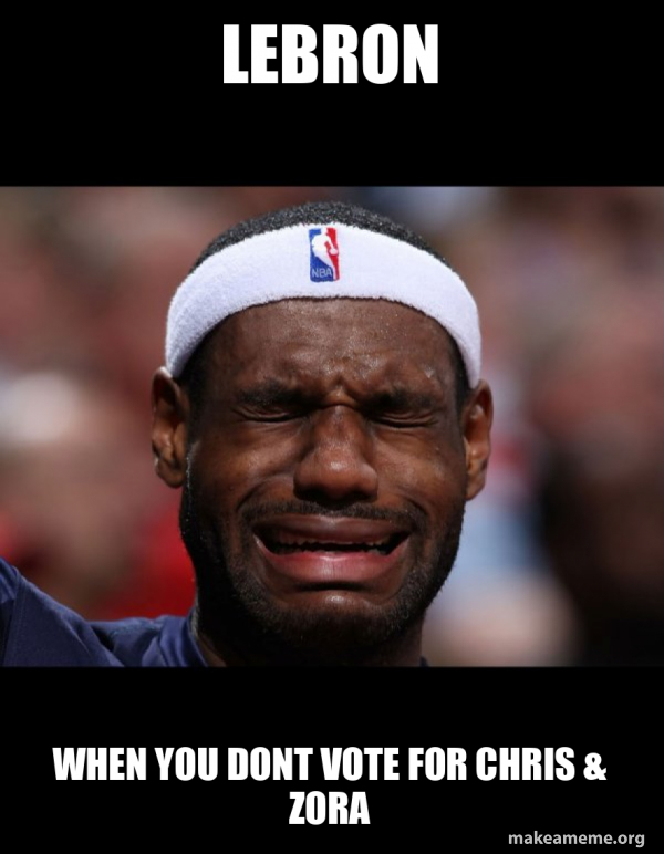 Lebron When you dont vote for CHRIS & ZORA - Lebron Crying Meme Generator