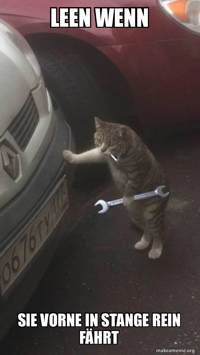 Leen wenn Sie vorne in stange rein fährt - Mechanic Cat Meme Generator