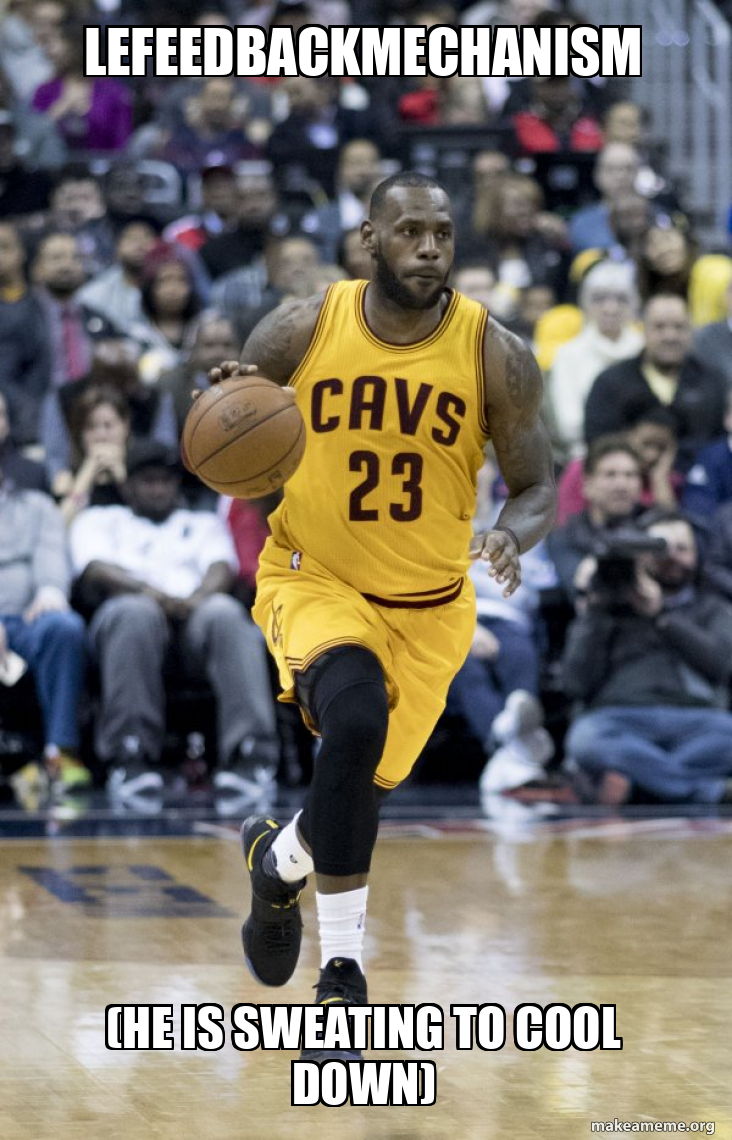 Lefeedbackmechanism (he is sweatIng to cool down) - Lebron James Meme ...