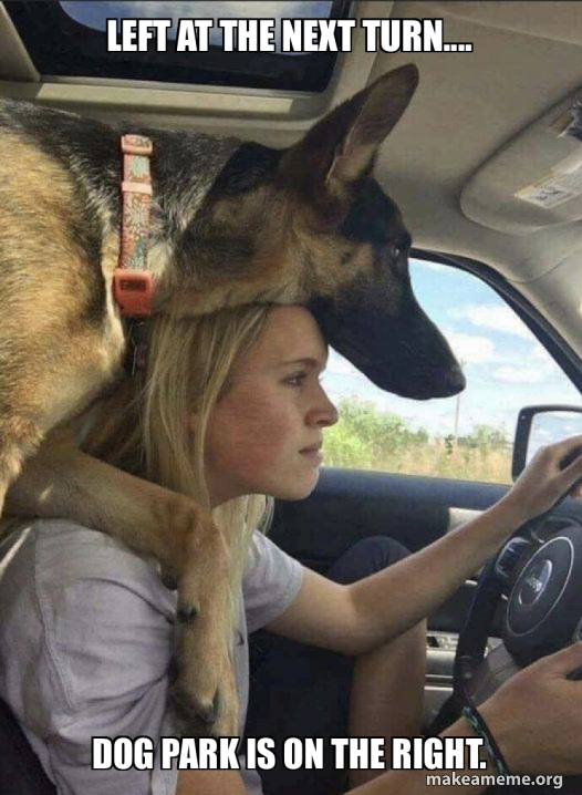 Left at the next turn.... dog park is on the right. Meme Generator