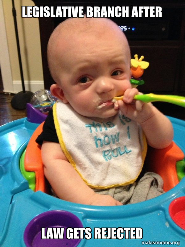 LEGISLATIVE BRANCH AFTER LAW GETS REJECTED - The Most Interesting Baby ...